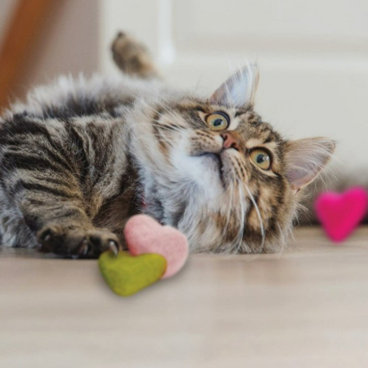 Cat Toys — Karma Cat Inc.